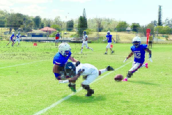 With eye on 11-player, Farmers pull away to beat Spartans 40-14 | News ...